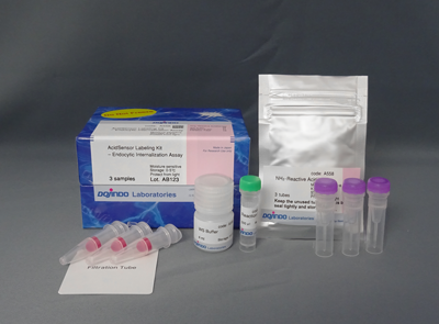 AcidSensor Labeling Kit - Endocytic Internalization Assay 细胞内吞作用的内化过程检测